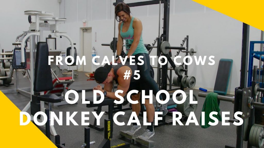 From Calves to Cows #5 – Old School Donkey Calf Raises – CalfRaises.com
