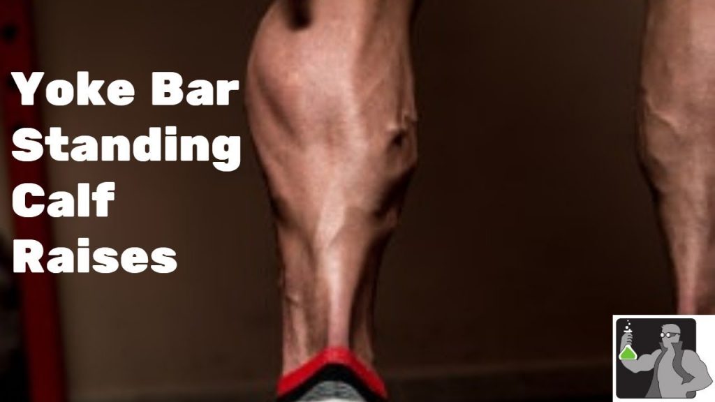 How to do Standing Calf Raises With a Safety Squat Bar – CalfRaises.com