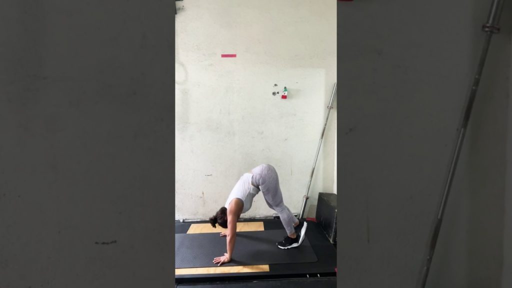 Pike single leg calf raise – CalfRaises.com